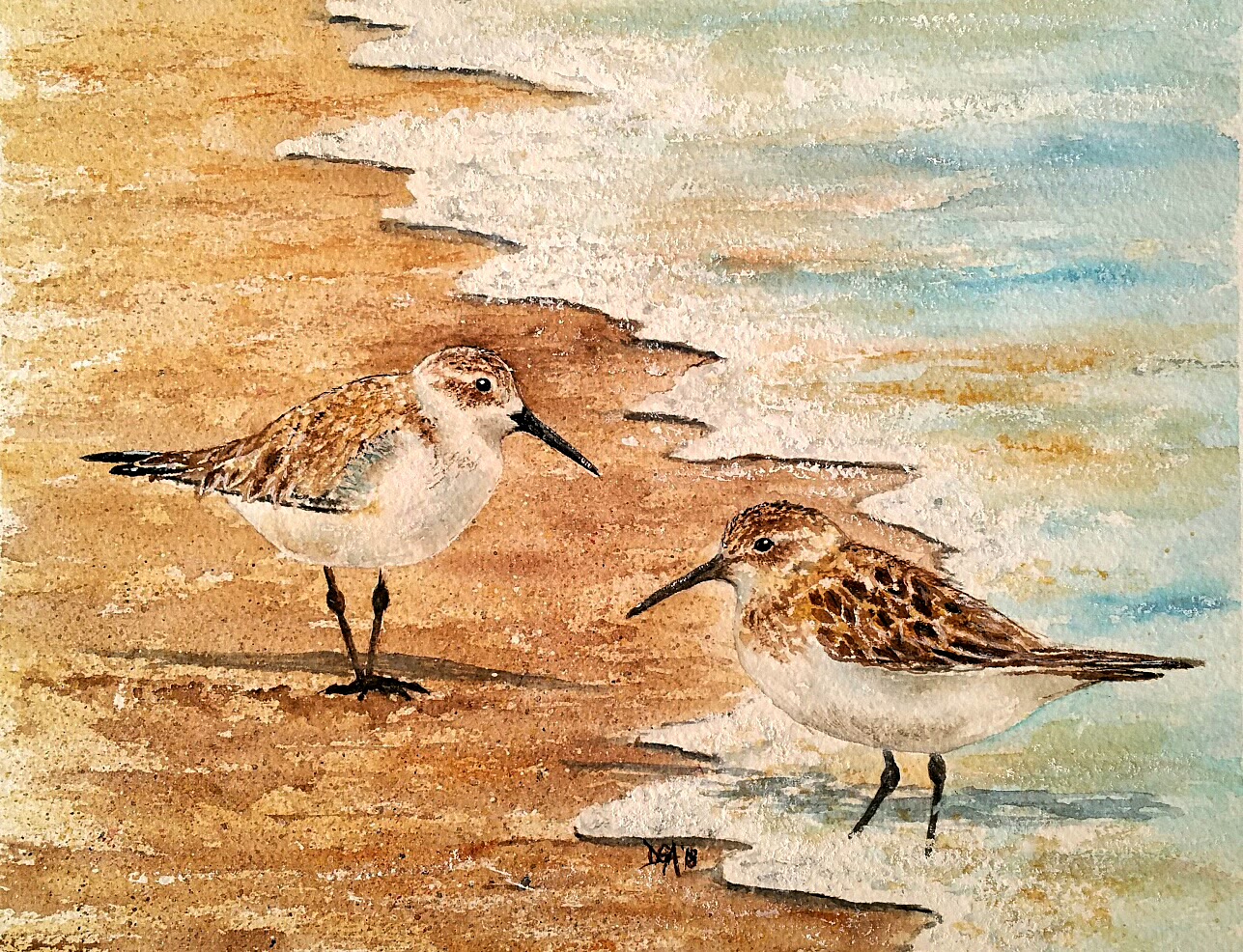 Watercolor Sandpipers - Watercolors by Donnell Anderson